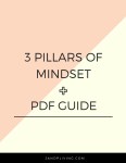 3 PILLARS OF MINDSET – J AND P LIVING